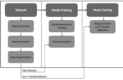 Figure 4 From Plant Disease Detection For Guava And Mango Using Yolo