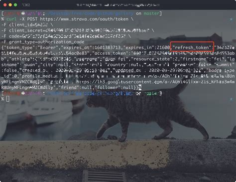 GitHub Yihong Running Page Make Your Own Running Home Page