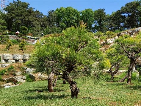 화성수목장 다하다 추모공원