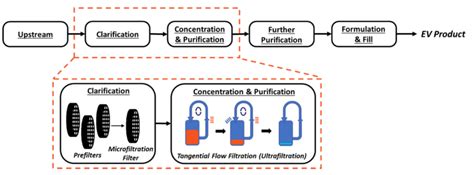 Extracellular Vesicleexosome Downstream Process Development Part I