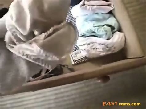 Japanese Panty Drawer Amateur Asian Lingerie Nylon Fun Eporner