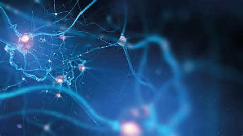 Neuromodulation Stimulating A Better Way Of Life