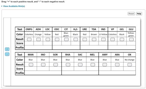 Solved You Have Just Completed An Api 20e On An Unknown