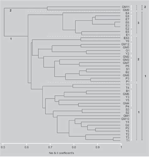 unweighted pair group method analysis upgma dendrogram of 44 sweet