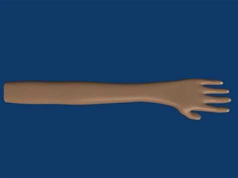 Fully Rigged Arm Model Focused Critiques Blender Artists Community