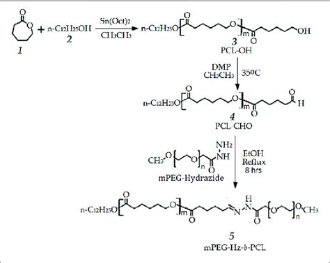 Scheme 1 Preparation Of Methoxy Polyethylene Download Scientific Diagram