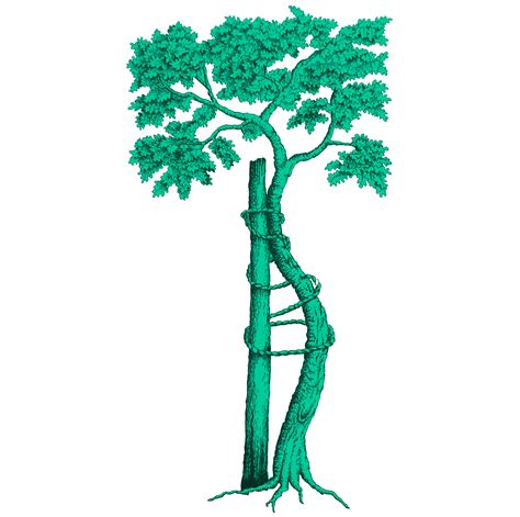 Backbone Clinic Welcome