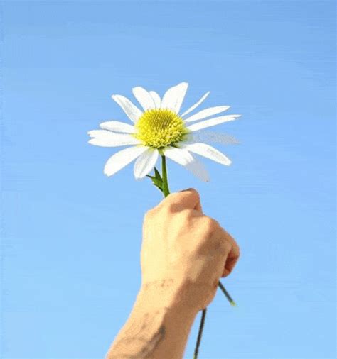 Canva Create Highlights Of New Features Coming To Canva P CCSK12 Tech