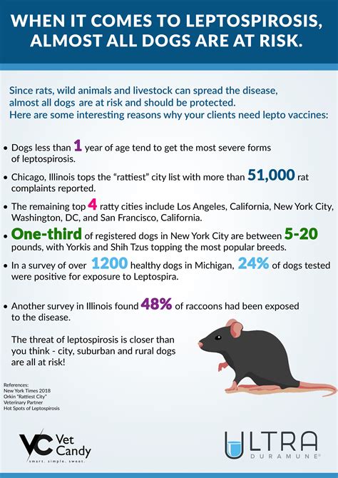 Do All Dogs Need Leptospirosis Vaccine