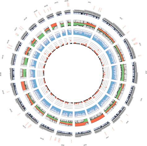 Circos Plot In Terms Of Dna Copy Number Dna Methylation And Somatic