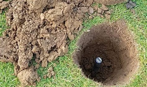 Can Metal Detectors Detect Coins [ultimate Guide] Detecting School