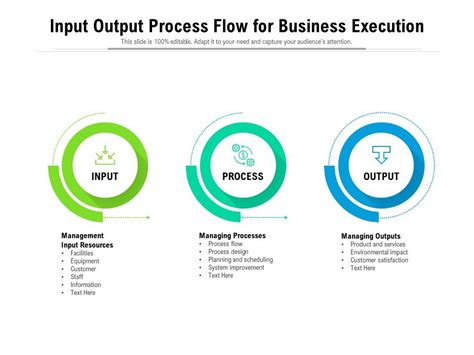 Input Output Process Flow For Business Execution Presentation Graphics Presentation