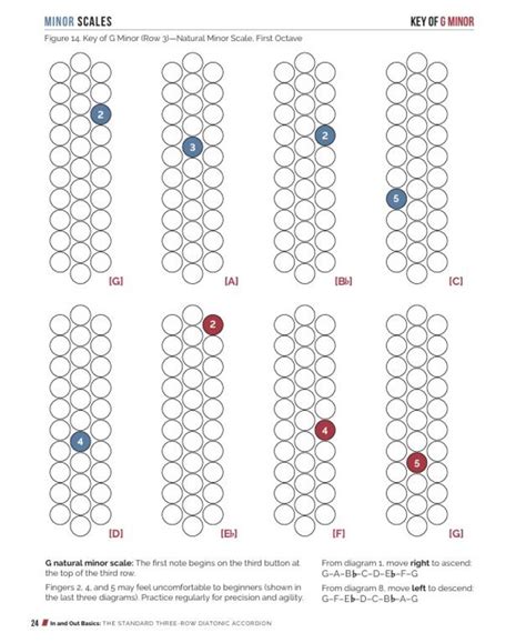 Learn Chords And Scales Exclusively On The Diatonic Button Accordion Etsy