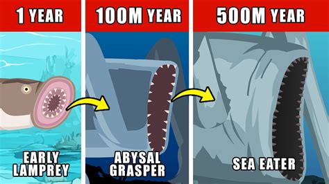 Sea Eater Origin Evolution How Sea Eater Could Have Evolved Youtube