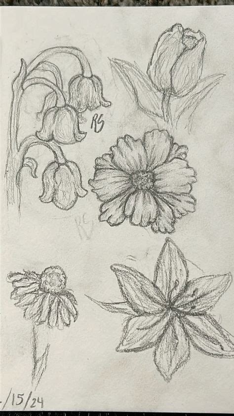 Drawings Of Flowers