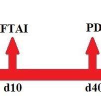 Diagram Of The Ovulation Synchronization Protocol Performed In Bovine Download Scientific