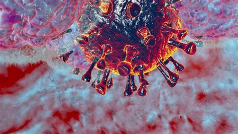 Elevated Mucosal Immune Response Expedites Covid 19 Recovery