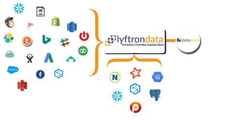 Datapine Integration Lyftrondata