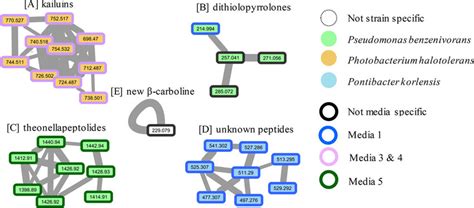 Examples Of Molecular Networks Visualized After Analysis Of Accurate Ms Download Scientific