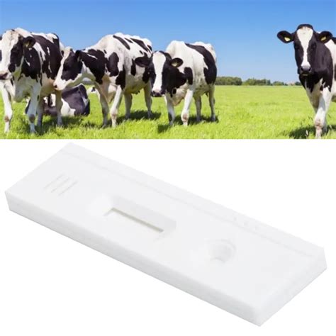 Cattle Pregnant Test Paper Cow Pregnancy Test High Accuracy Rate For Farm For Cows For Cows