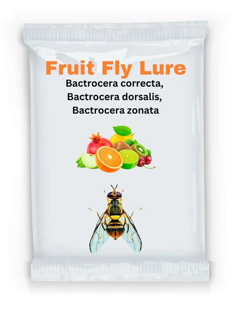 Fruit Fly Lure Bactrocera Correcta Bactrocera Dorsalis Bactrocera