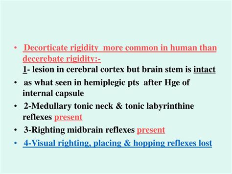 Ppt Posture And Equilibrium Powerpoint Presentation Free Download Id
