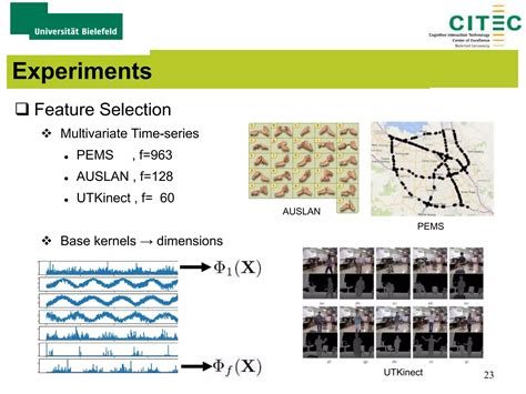 Large Margin Multiple Kernel Learning For Discriminative Features