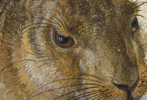 꾀 많은 토끼 부활의 토끼 상징을 통해 다른 세계를 맛보다 [송주영의 맛있게 그림보기]