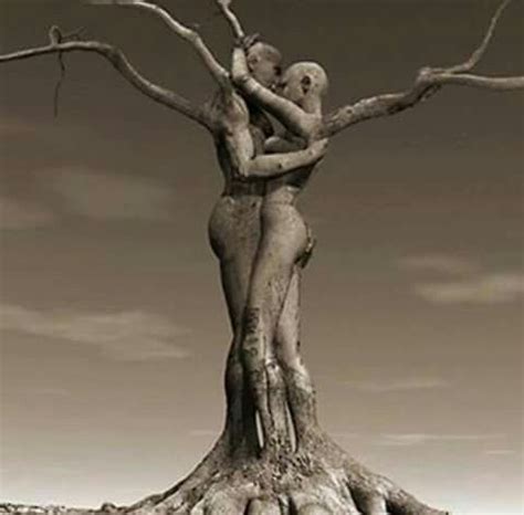 Best I Trees Images On Pinterest Forests Beautiful Images And Beautiful Landscapes