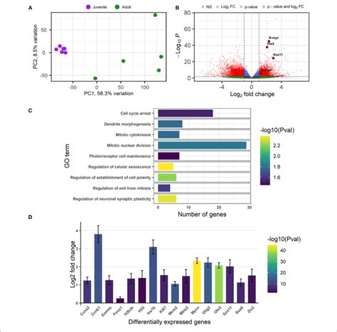 Rna Seq Analysis Of The Retinal Transcriptome A D A Principal