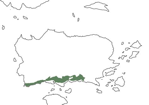 Southern Steppe Kolins Main Dnd Wiki Fandom