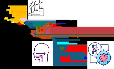 Analysing Mcpd Glycidol And Their Fatty Acid Esters