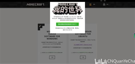Minecraft官方服务端无法下载？有奇怪的弹窗？ 哔哩哔哩
