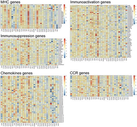 Biological And Immunological Significance Of Dll3 Expression In