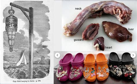 Giblets For Crocs Buy Crocs Everything Nice Jibbitz 5 Pack From Next