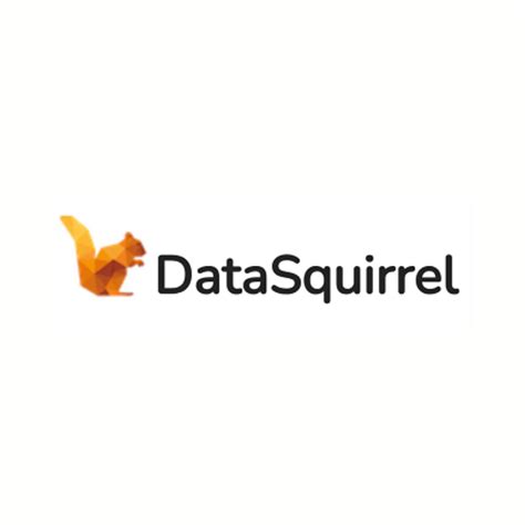 Data Squirrel Ai Grey Journal
