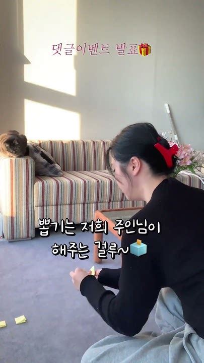 구독자 적을 때만 할 수 있는 댓글 이벤트 발표😉💕 Youtube