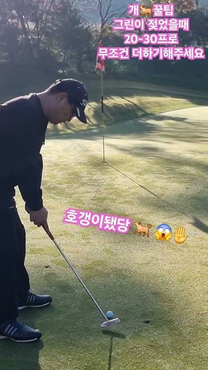 개🐕꿀팁 20 30프로 업업😱 ️👍⛳️💕골프골프존스크린골프nx골프존cc필드필드골프필드레슨웨지퍼터아이언비거리골프레슨숏게임숏아이언드라이버롱아이언