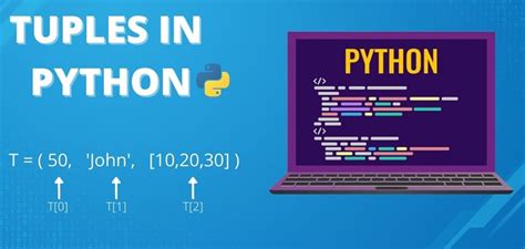 Tất Cả Về Tuples Trong Python để Bạn Viết Mã Gọn Nhanh Hiệu Quả