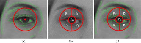 A Image Gradient Aligned To Its Center B Intensity Of The Iris Region