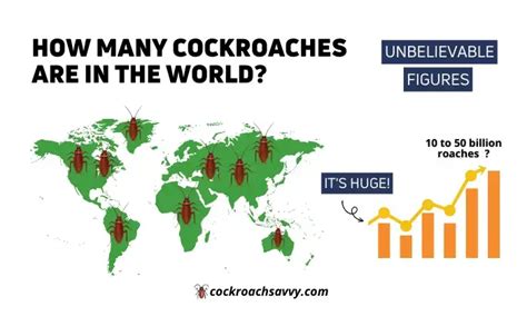 How Many Cockroaches Are In The World Unbelievable Figures