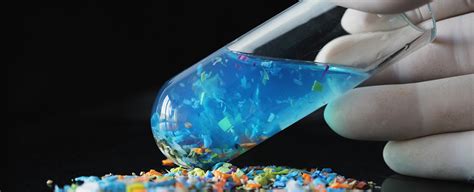 Filter Made From Squid Bone Could Be The Solution To Microplastics