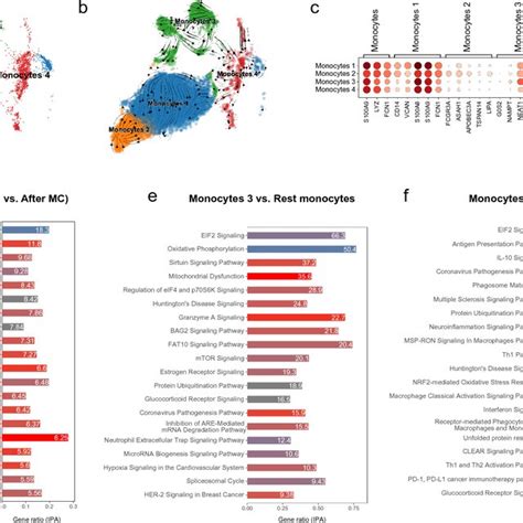 Single Cell Analysis Of Monocytes From Mc Pbmcs A The Distribution Of