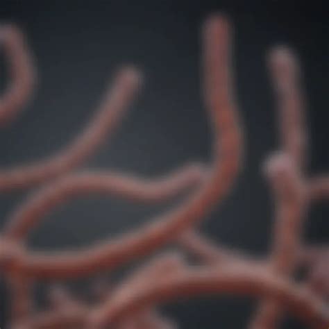 Understanding The Nf1 Gene And Its Role In Neurofibromatosis