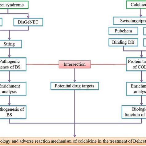 The Workflow Of The Designed Strategy Download Scientific Diagram