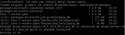 Install Sql Server Agent On Red Hat