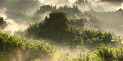 Sustainable Investing Perspectives Eu Green Bond Standards Ipcc Report And Pe Impact