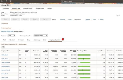 Ecomp Software Workstrategy
