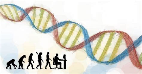 Importancia De Los Algoritmos Evolutivos Tecnología Ciencia Y Educación