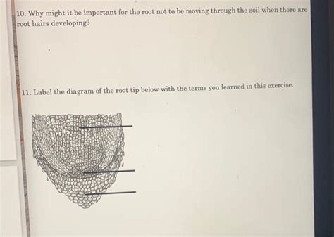 Solved 10 Why Might It Be Important For The Root Not To Be Chegg Com